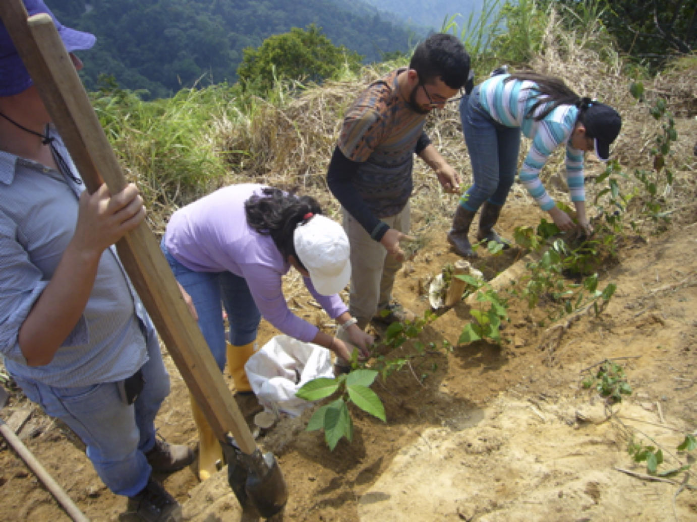 Theoretical and practical training of local stakeholders about ...